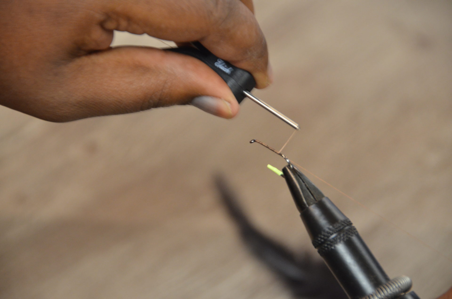 Adventure to beluga country | Sur la pointe des pieds